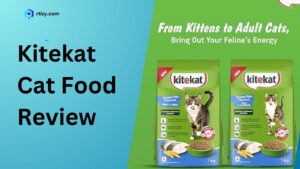 Kitekat Cat Food Review